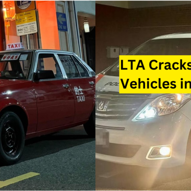 The Ultimate Guide on Getting Your Vehicle Entry Permit (VEP)